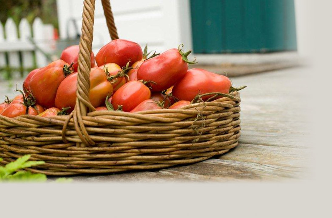 Afghan Biscuits, Isle of Capri Tomatoes and Broken Heart Gin - The ...