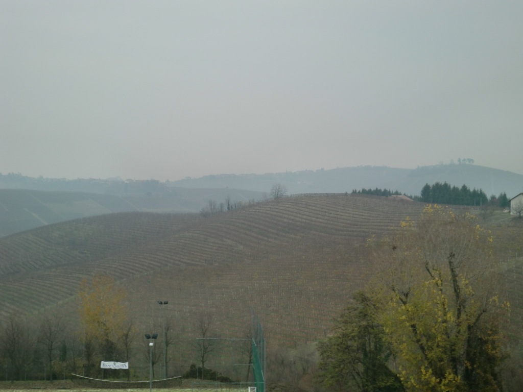 The Diversity of Piedmont – Our intrepid Singapore sommelier Shalom ...