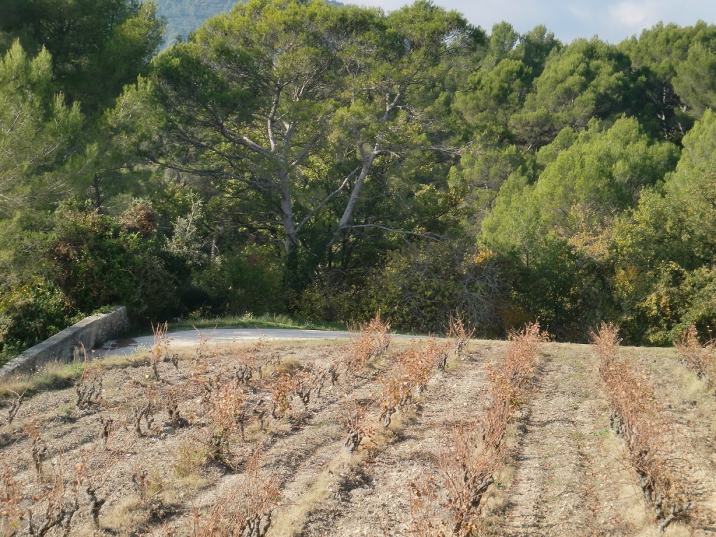 Shalom Chin – Provence Part 5 – Fréjus and the surrounding parts of ...