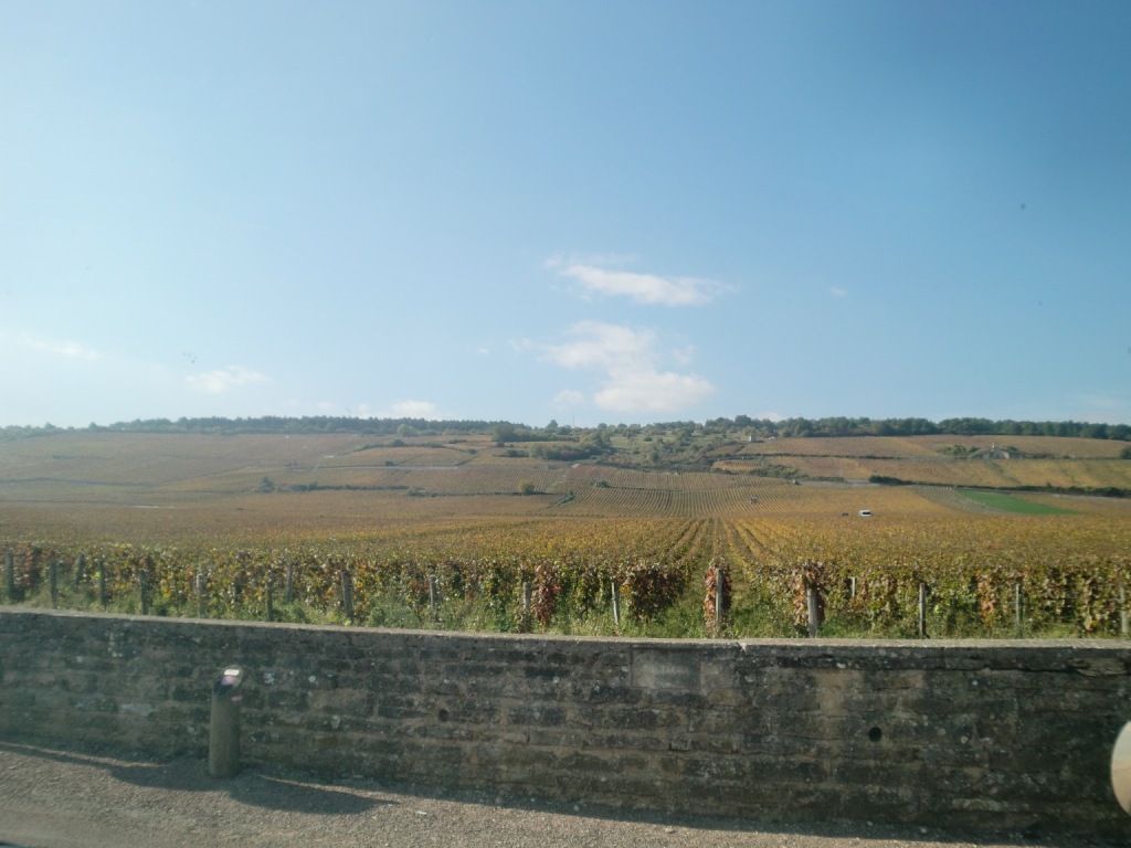 Sommelier Shalom Chin – Blog from Burgundy – The Holy Grail of Pinot ...