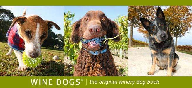 The Wonderful World of Wine Dogs - The Wandering Palate